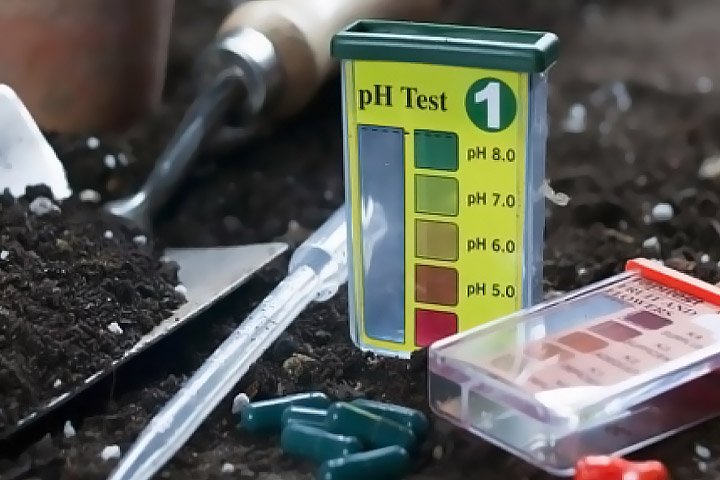 How To Test pH Level In Soil