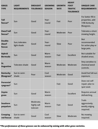 Top 10 Lawn Grass Types