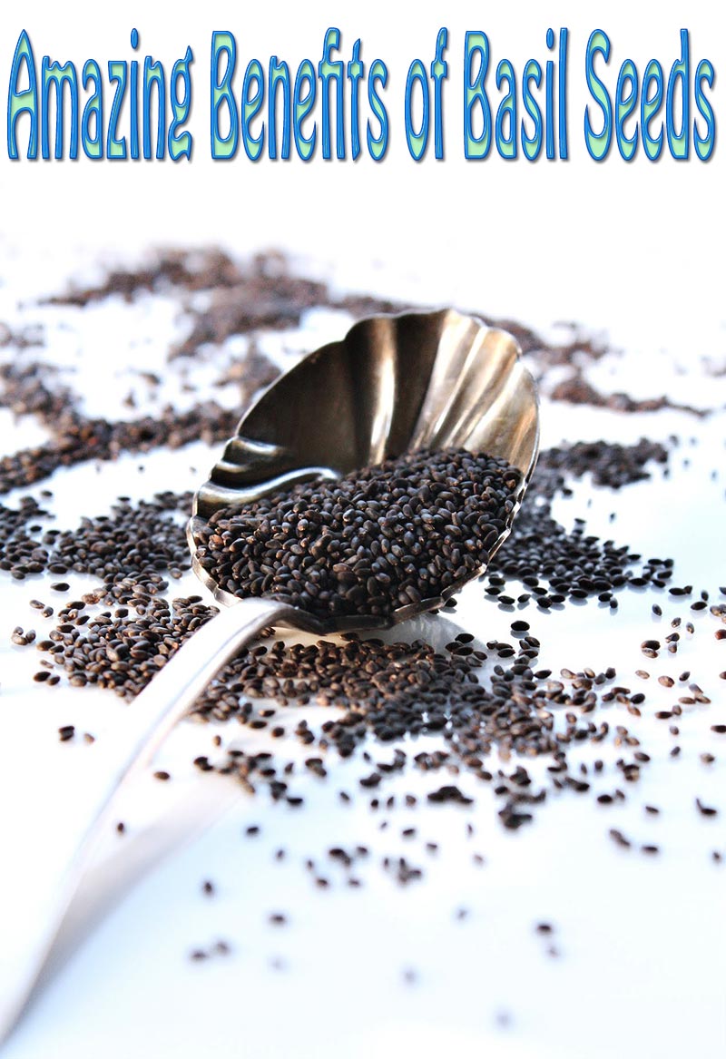 Amazing Benefits Of Basil Seeds