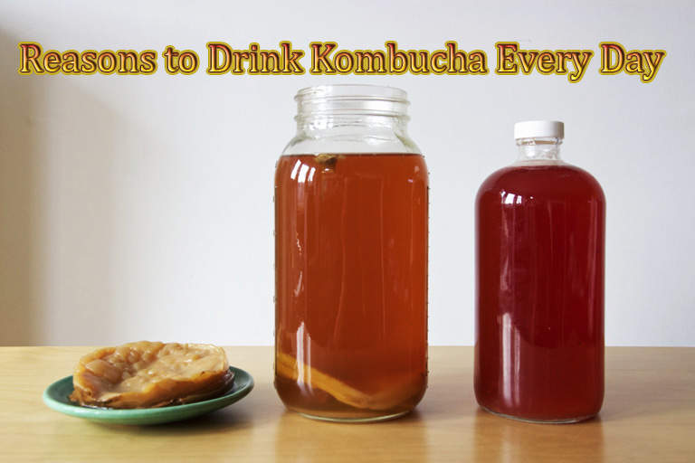 Reasons to Drink Kombucha Every Day and How To Make It